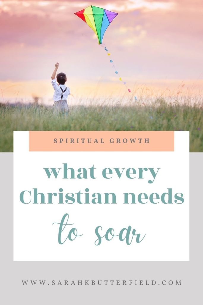 What Every Christian Needs to Soar – Sarah K. Butterfield